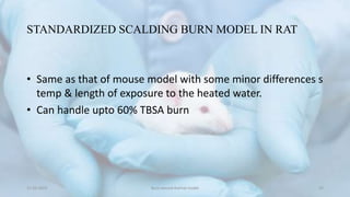ANIMAL MODEL ON BURN WOUND.pptx