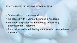 ANIMAL MODEL ON BURN WOUND.pptx