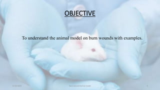 ANIMAL MODEL ON BURN WOUND.pptx