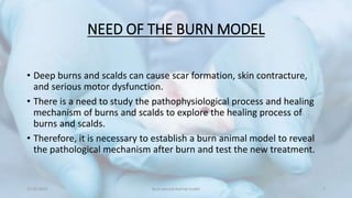 ANIMAL MODEL ON BURN WOUND.pptx