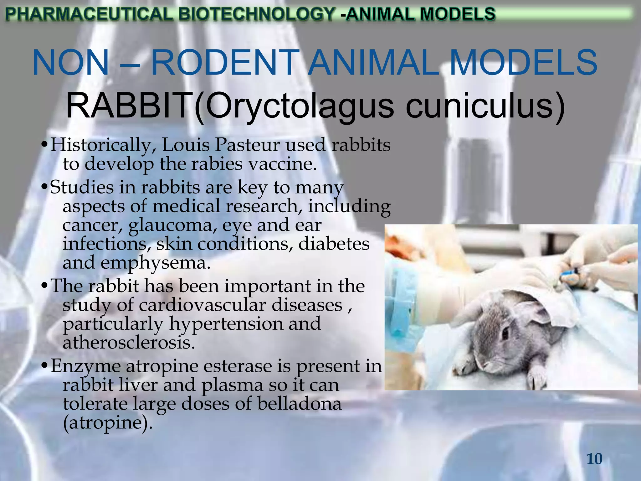 Animal models | PPTX