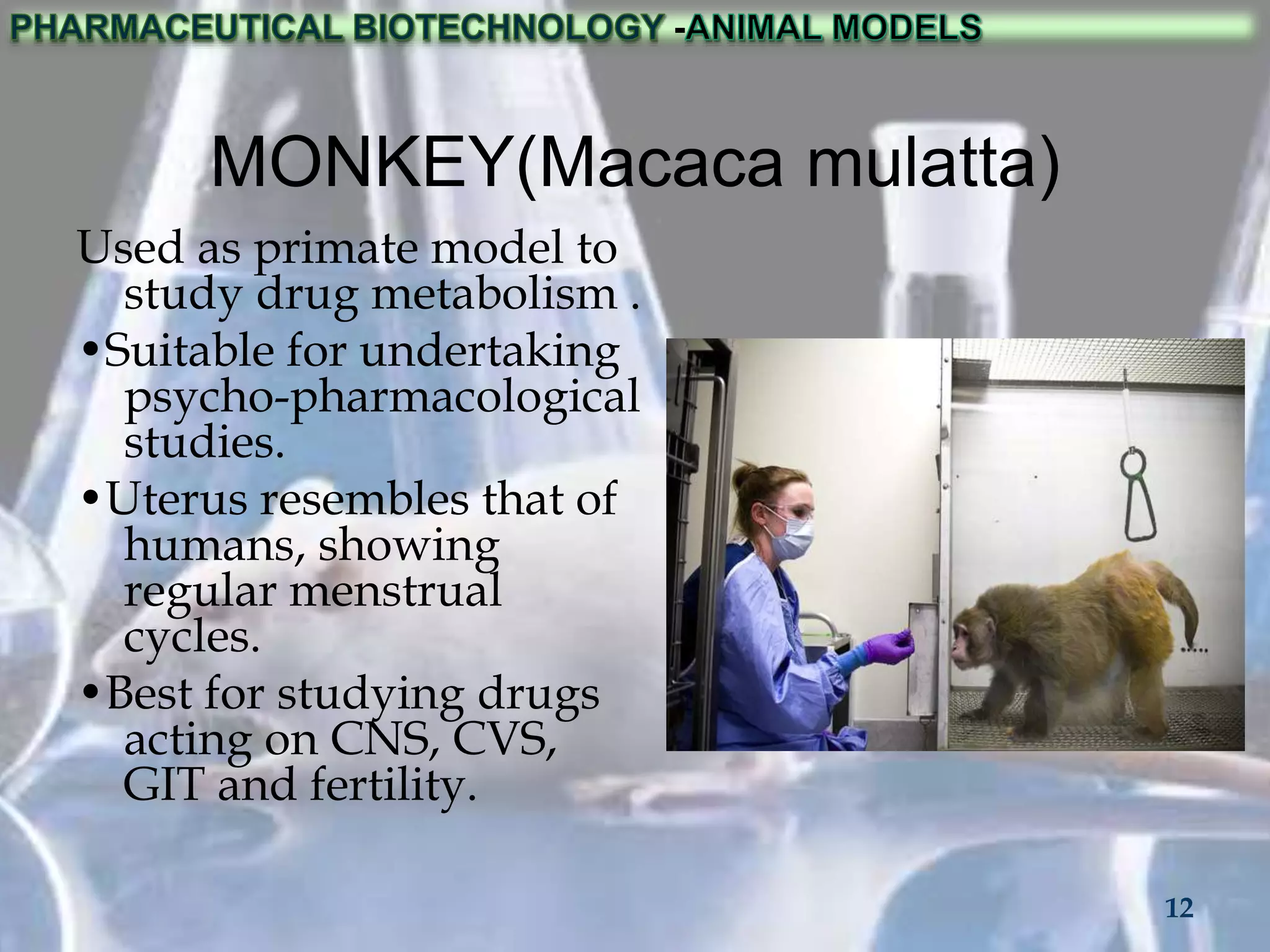 Animal models | PPTX