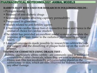 Animal models | PPTX