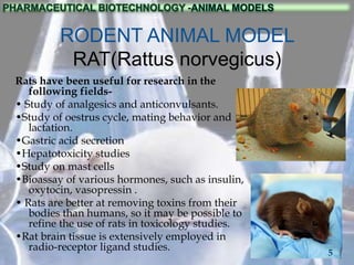 Animal models | PPTX