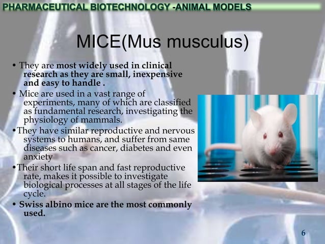 Animal models | PPTX | Biological Sciences | Science
