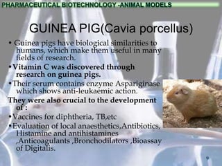 Animal models | PPTX