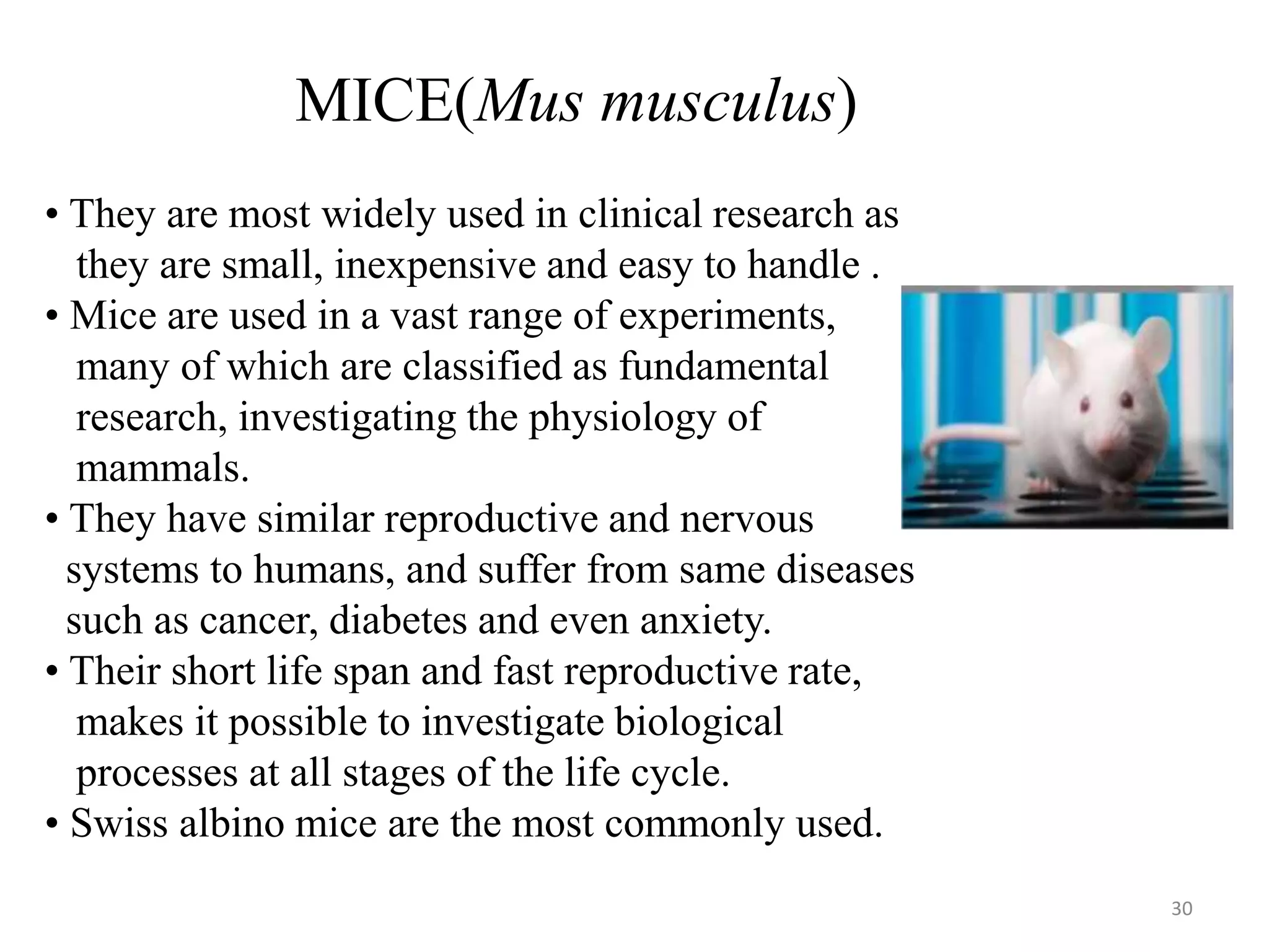 Animal models | PPTX