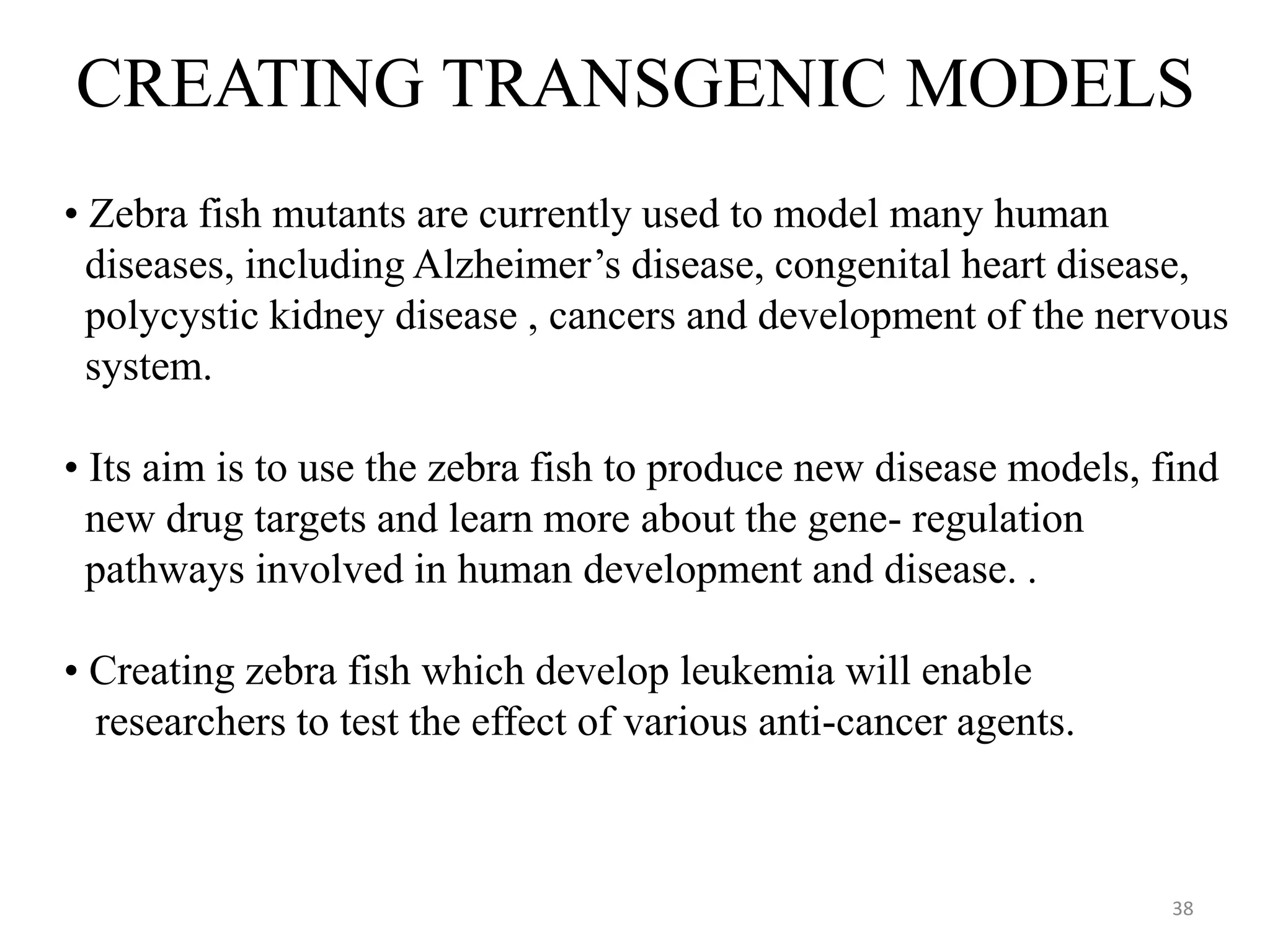 Animal models | PPTX