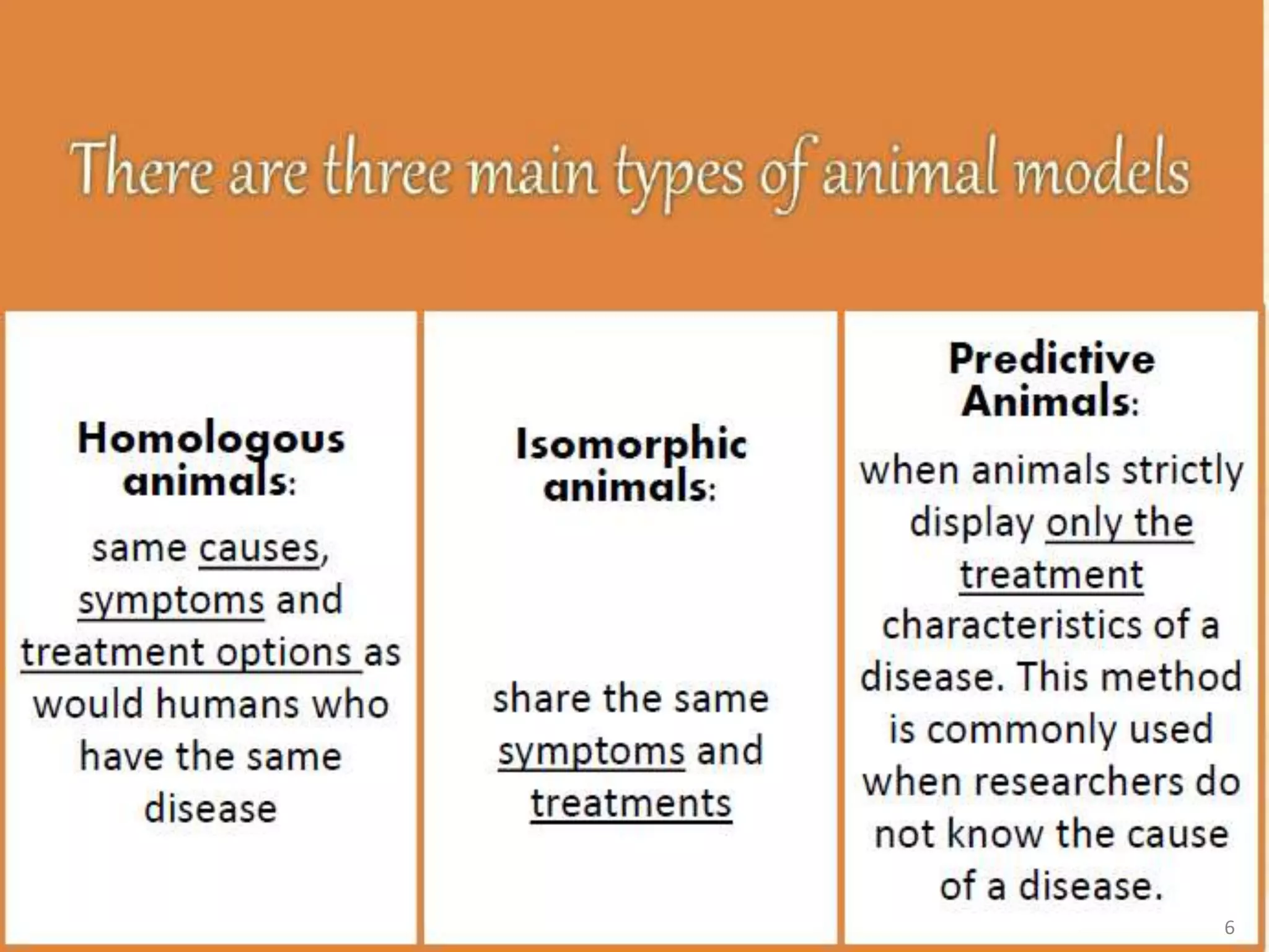 Animal models | PPTX
