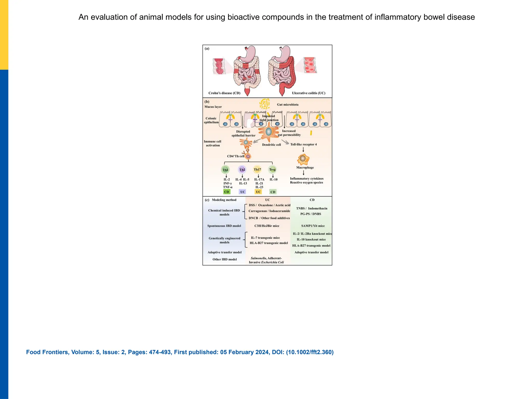 ANIMAL MODELS IN INFLAMMATORY BOWEL DISEASE | PPTX