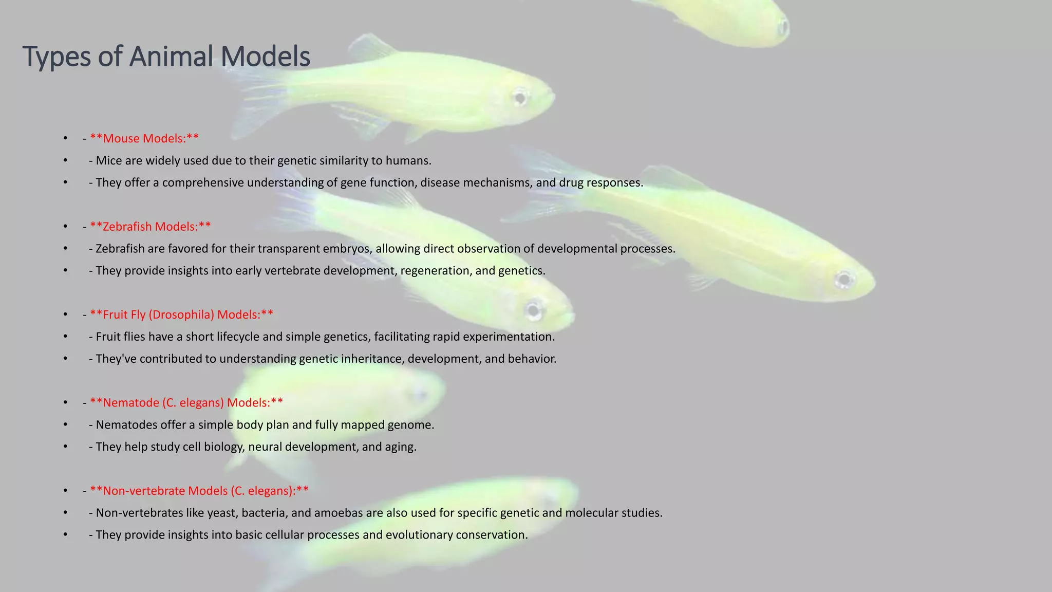 Animal Models- Use in Genetics and Developmental Biology.pptx