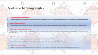 Animal Models- Use in Genetics and Developmental Biology.pptx