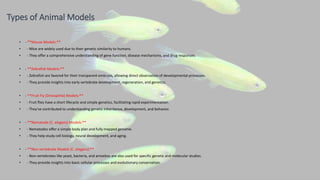 Animal Models- Use in Genetics and Developmental Biology.pptx
