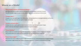 Animal Models- Use in Genetics and Developmental Biology.pptx