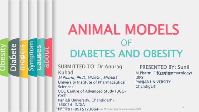 Animal modelsof diabetes and obesity | PPTX