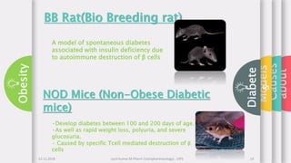 Animal modelsof diabetes and obesity | PPTX