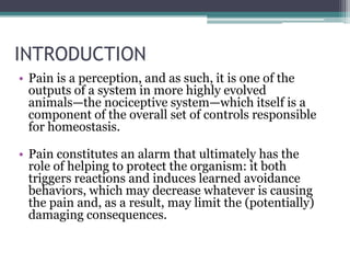 Animal models of nociception (pain) | PPTX