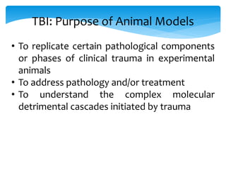 Animal Models in Traumatic Brain Injury | PPTX