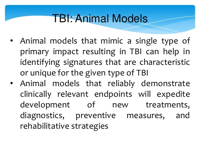 Animal Models in Traumatic Brain Injury