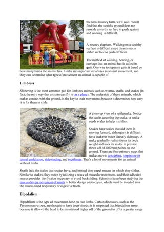 Animal movement | DOCX