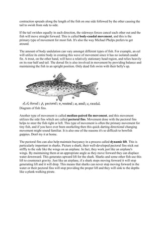 Animal movement | DOCX