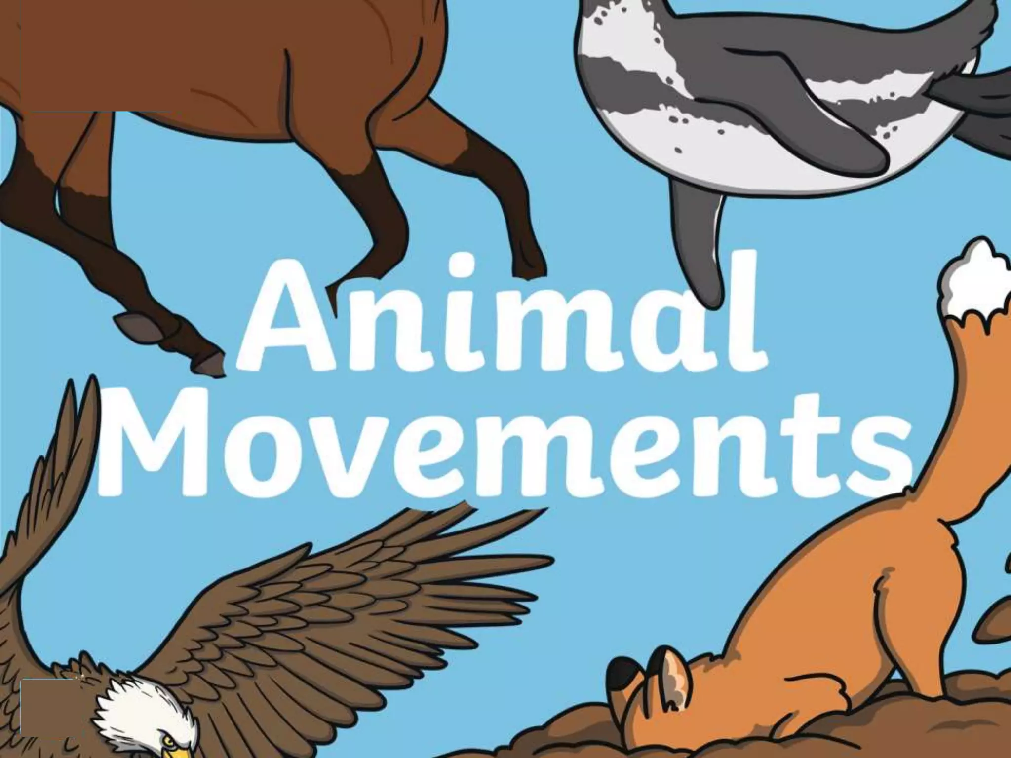 Animal Movements.pptx | Free Download