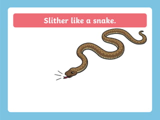 Animal Movements.pptx | Free Download