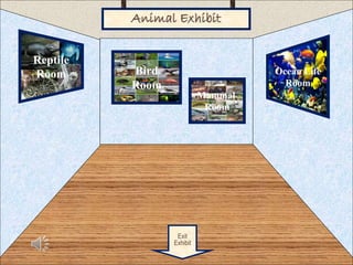 Animal museum power point | PPTX