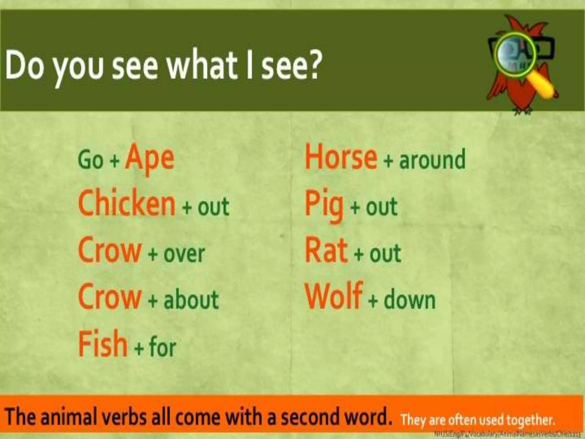 Animal names as verbs ( p4 ) | PPTX
