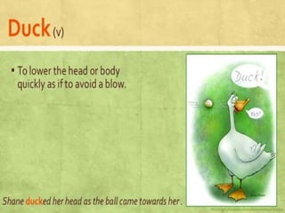 Animal names as verbs ( p4 ) | PPTX