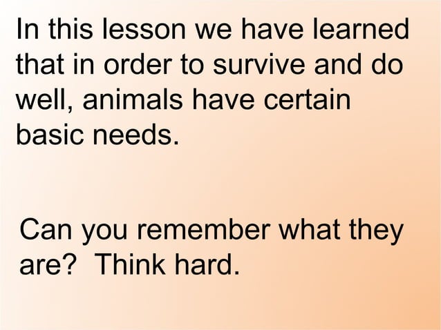 Animal needs. (teach) pptx | PPT