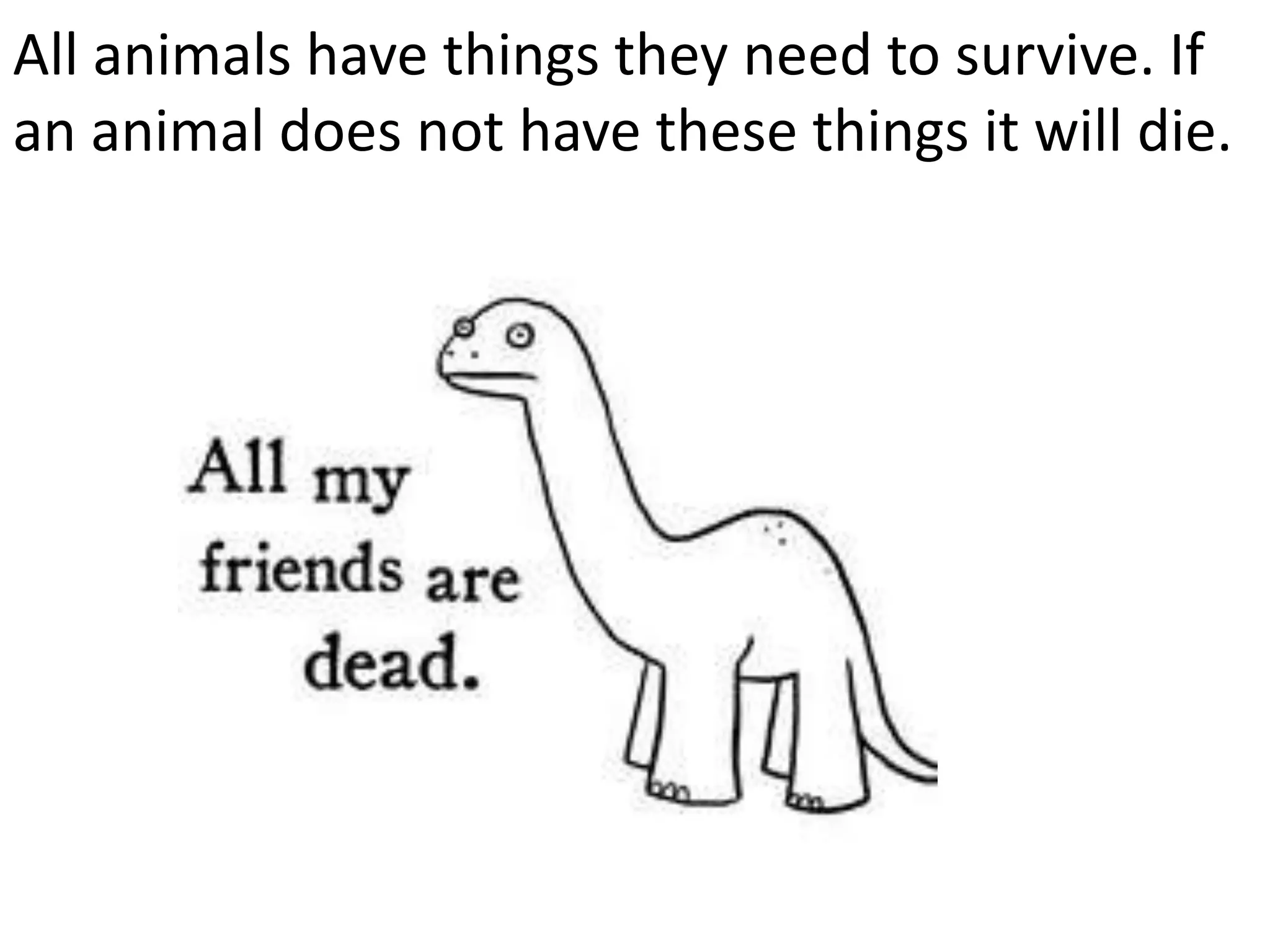 Animal needs (teach 1st, 2nd, 3th grades) | PPTX