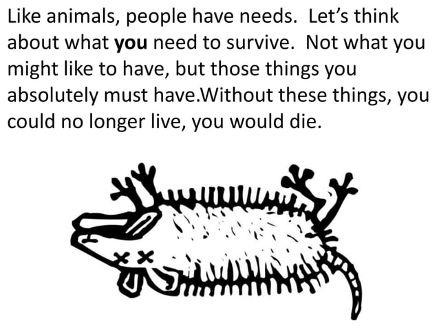 Animal needs (teach 1st, 2nd, 3th grades) | PPTX