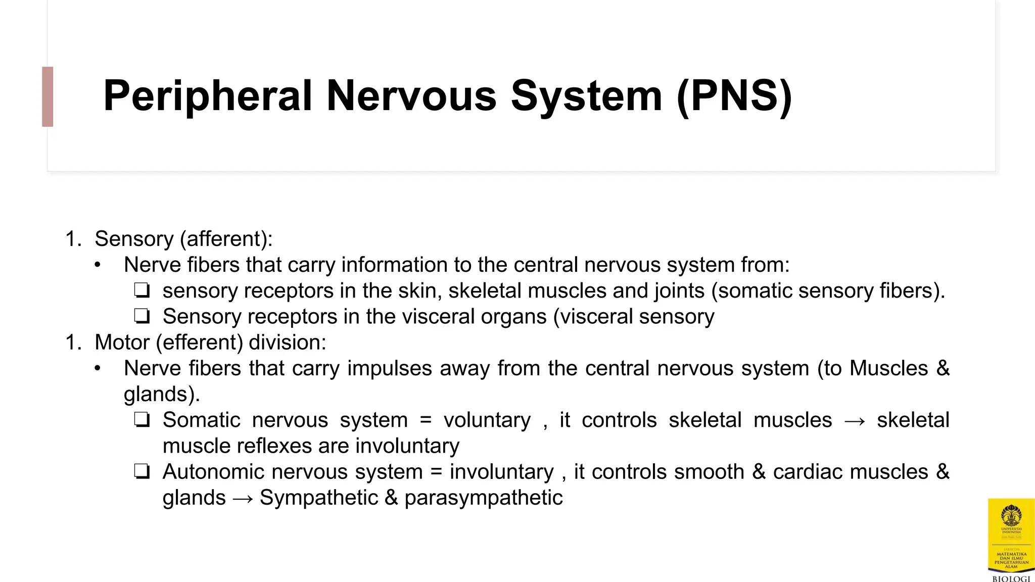 Animal Nervous System Animals To Education.pptx
