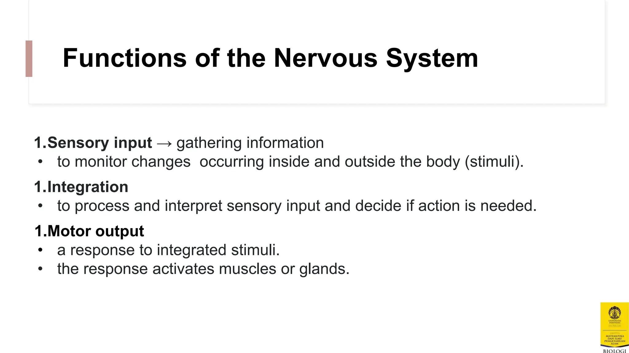 Animal Nervous System Animals To Education.pptx