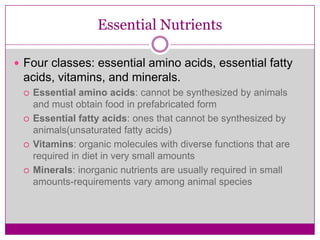 Animal nutrition | PPTX