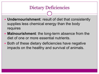 Animal nutrition | PPTX