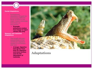 Animal nutrition | PPTX | Nutrition | Healthy Living