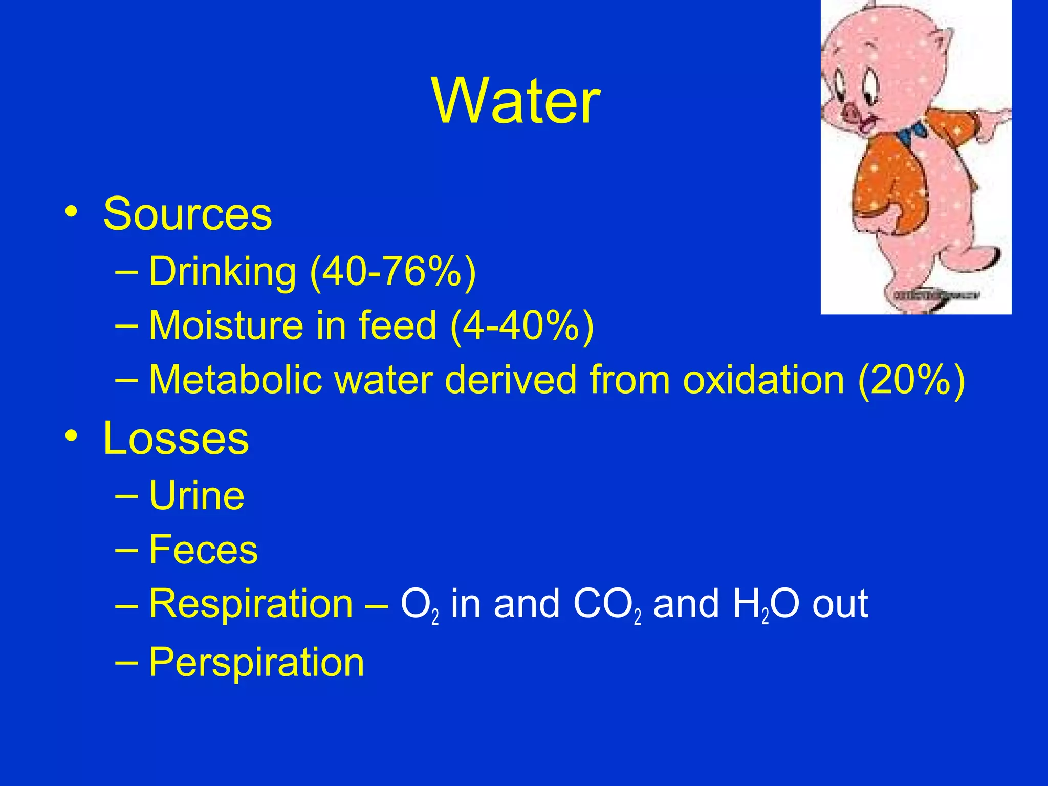 Animal nutrition | PPT