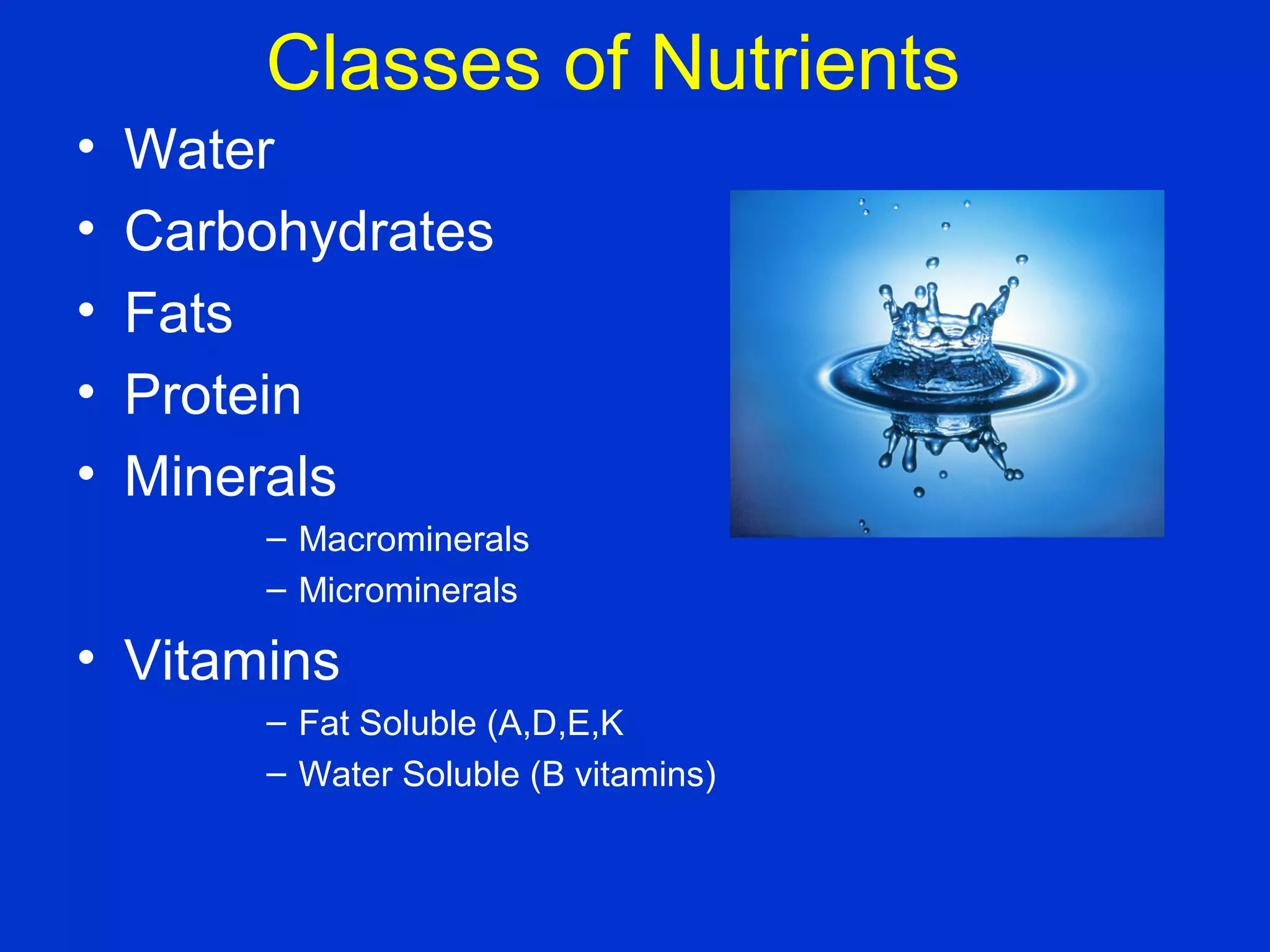 Animal nutrition | PPT