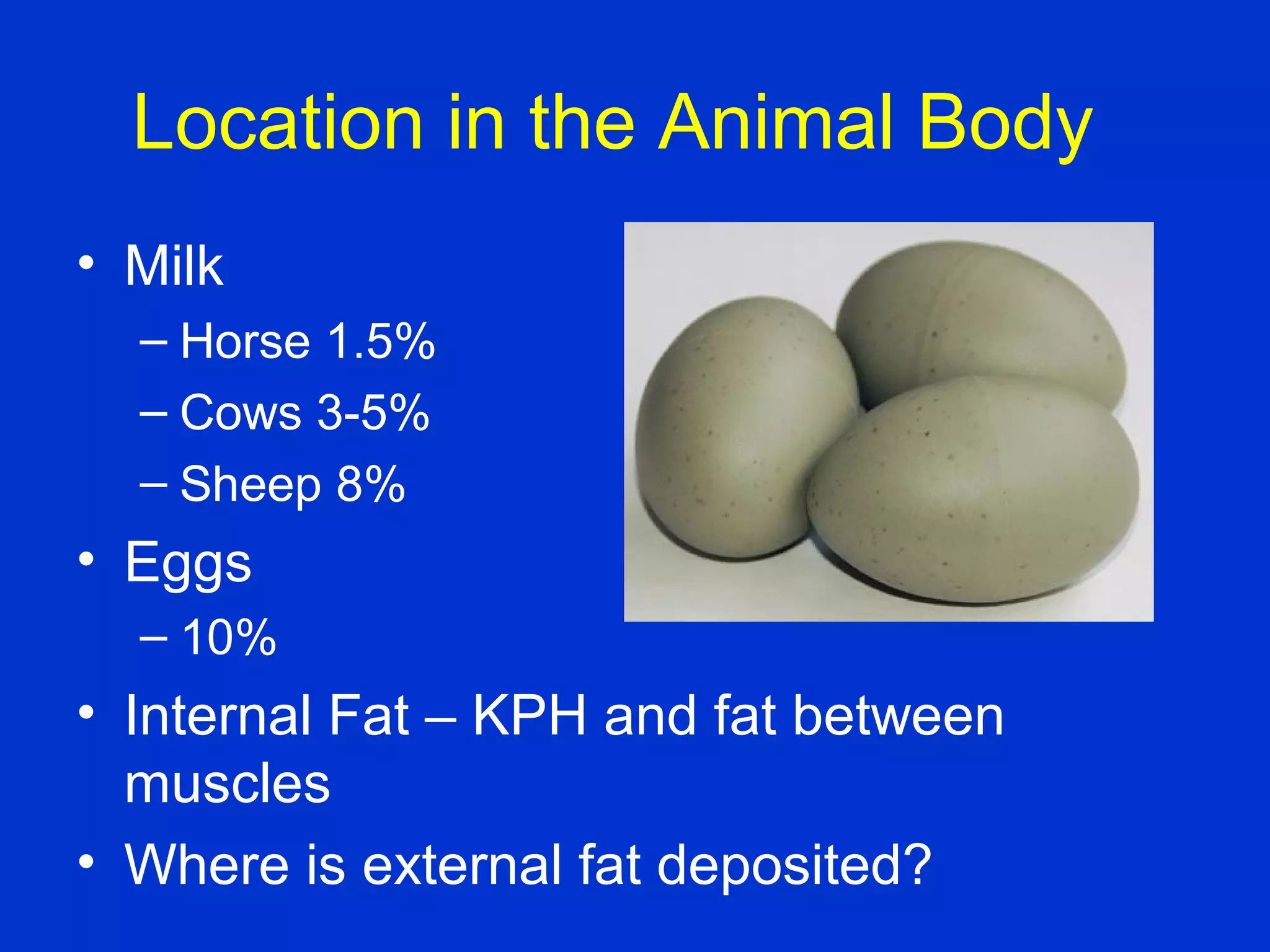 Animal nutrition | PPT