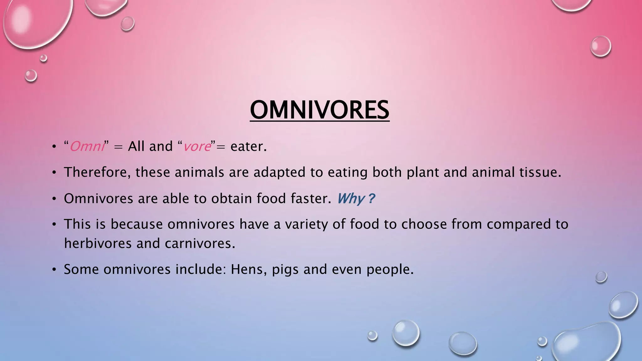 Animal nutrition.pptx