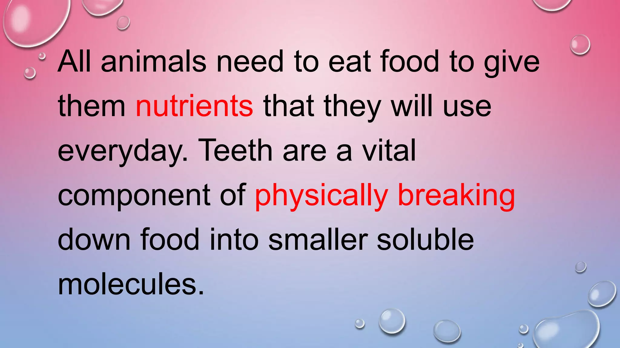 Animal nutrition.pptx
