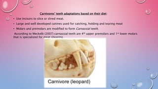 Animal nutrition.pptx