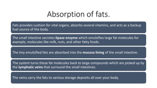 ANIMAL NUTRITION.pptx