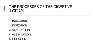 ANIMAL NUTRITION.pptx