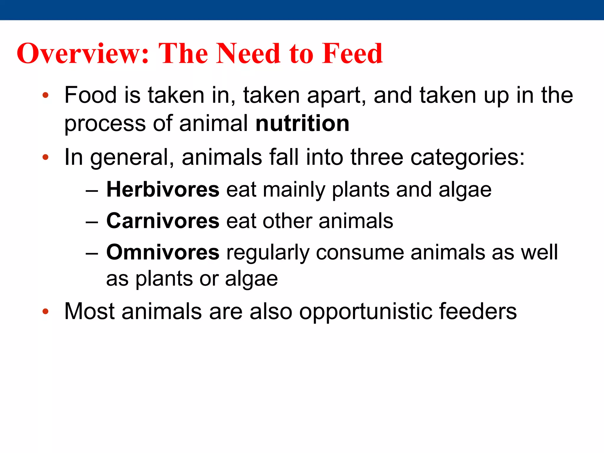 Animal nutrition.pdf