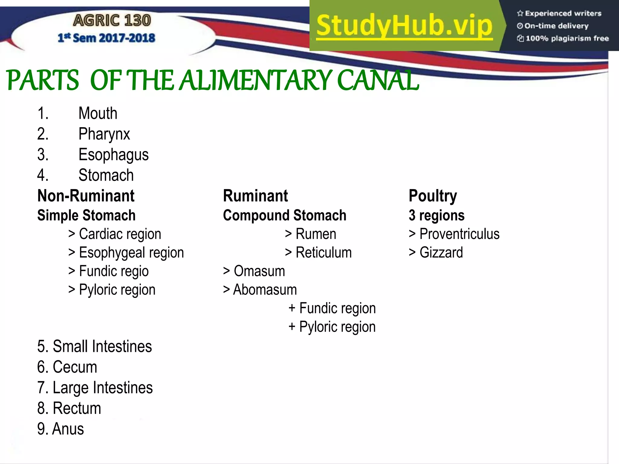 ANIMAL NUTRITION AND FEEDING LECTURE CONTENT | PDF