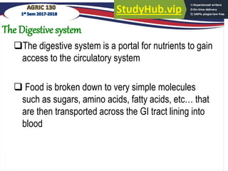 ANIMAL NUTRITION AND FEEDING LECTURE CONTENT | PDF