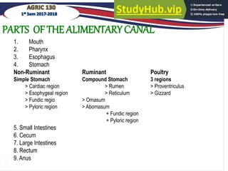 ANIMAL NUTRITION AND FEEDING LECTURE CONTENT | PDF